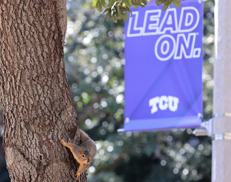 Chancellor’s Blog: Leading On